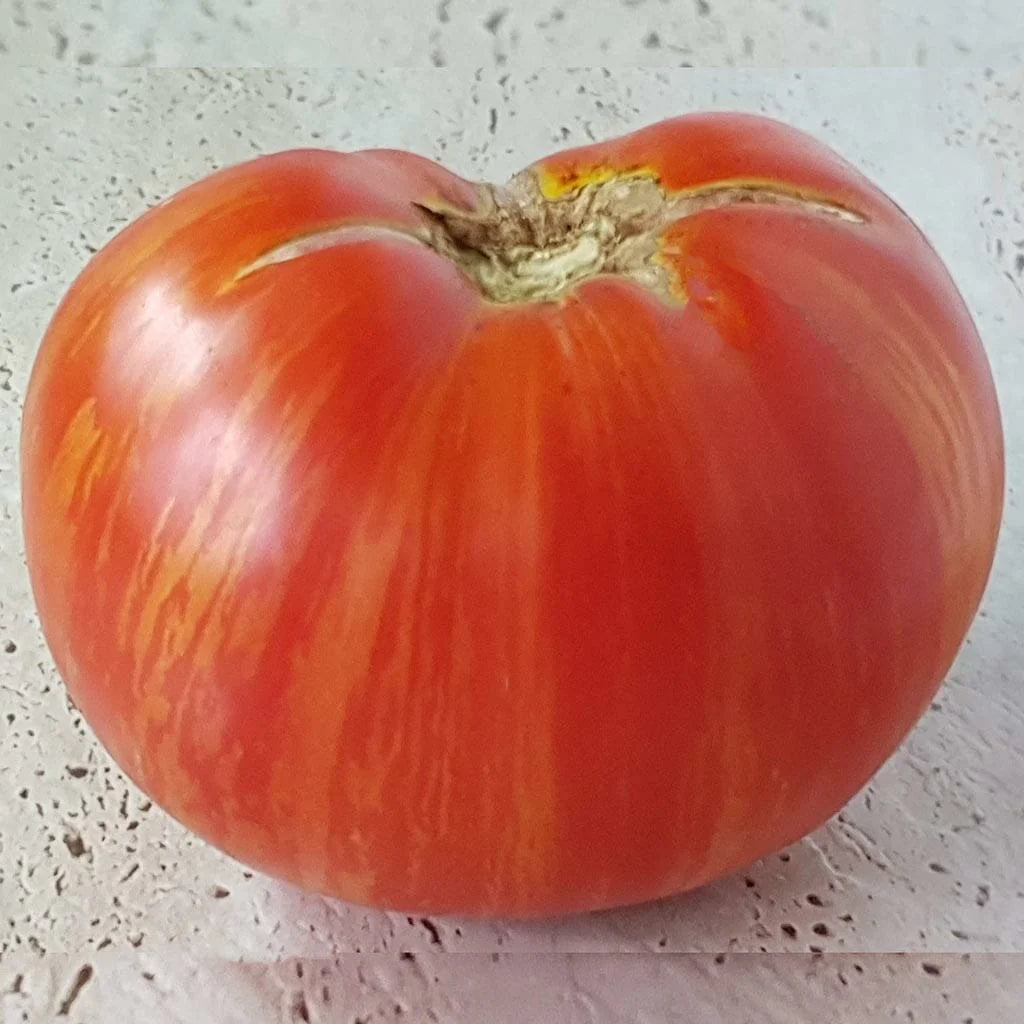 Beauty King - Heirloom Tomato Seeding – Lydiony Pty Ltd